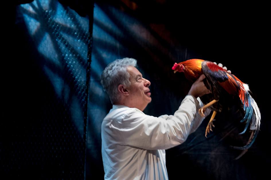 El Coronel No Teine Quien le Escriba