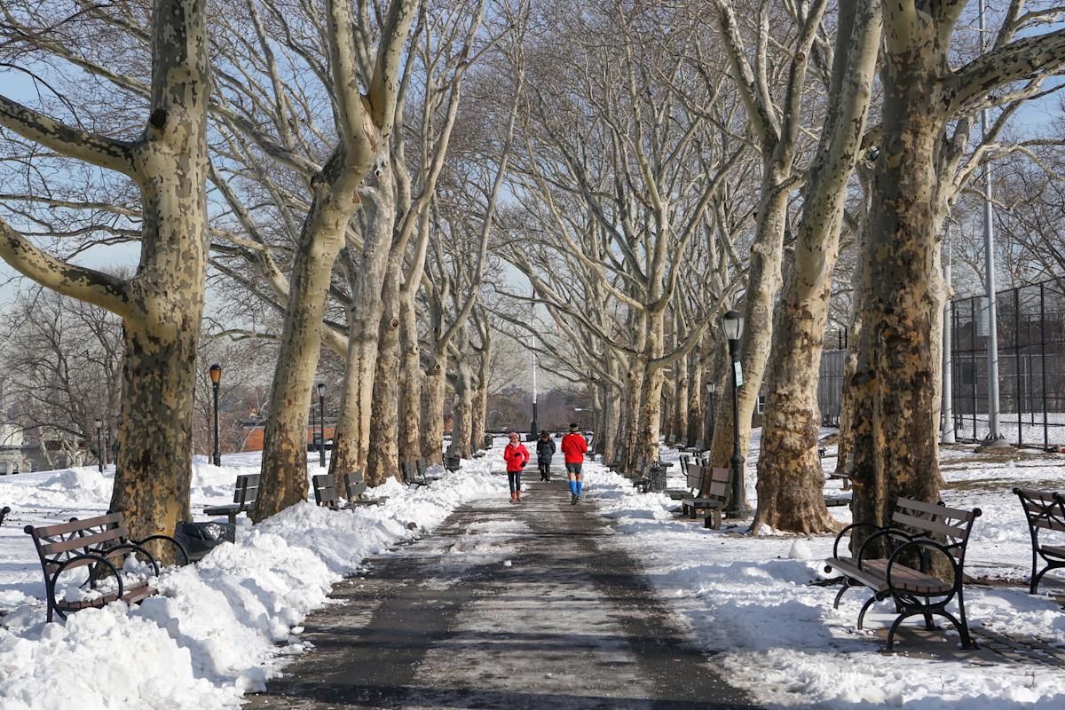 Sunset Park | Your Guide to NYC Tourism
