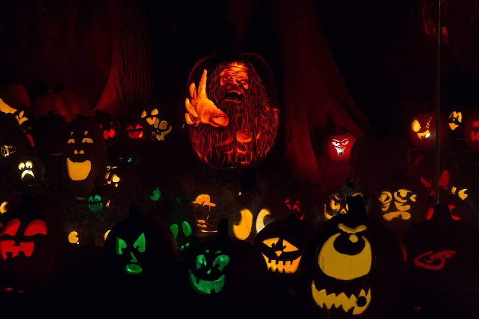 Bronx Zoo's Boo at the Zoo