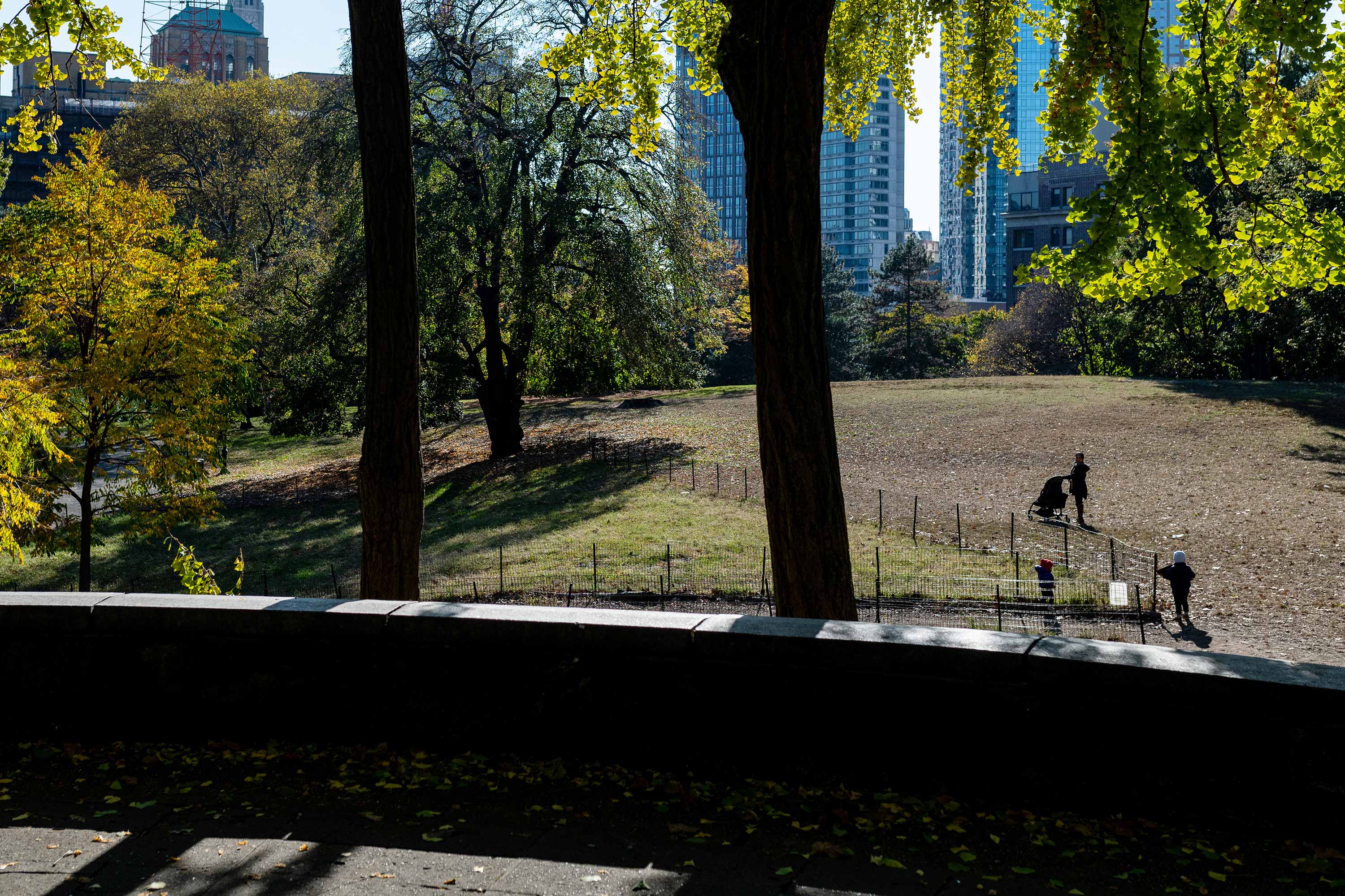 A Day and Night in Fort Greene – Restaurants, Fort Greene Park ...