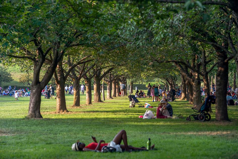 Top NYC Parks You Should Visit in 2020