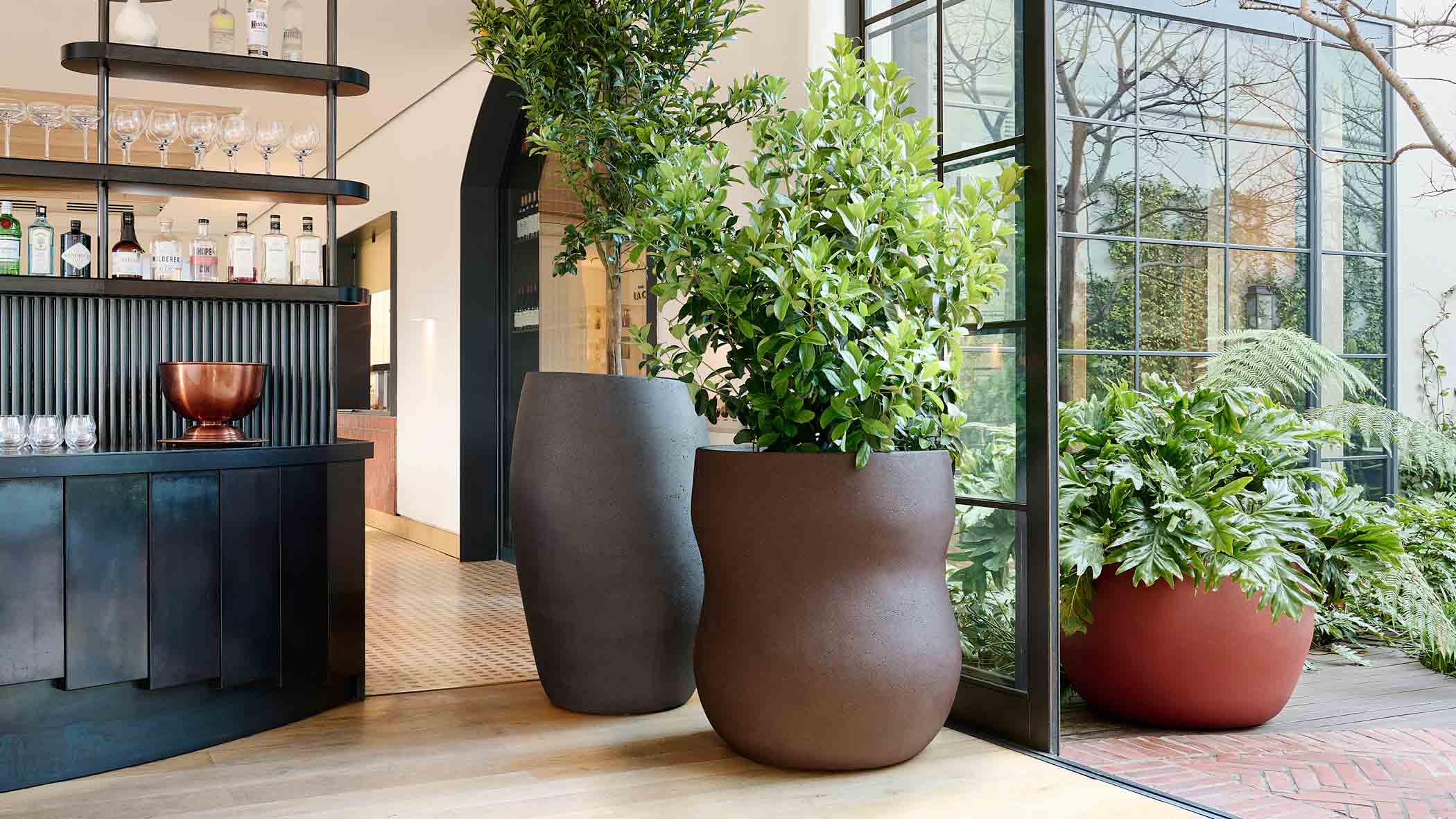 Avenue Road - Indigenus