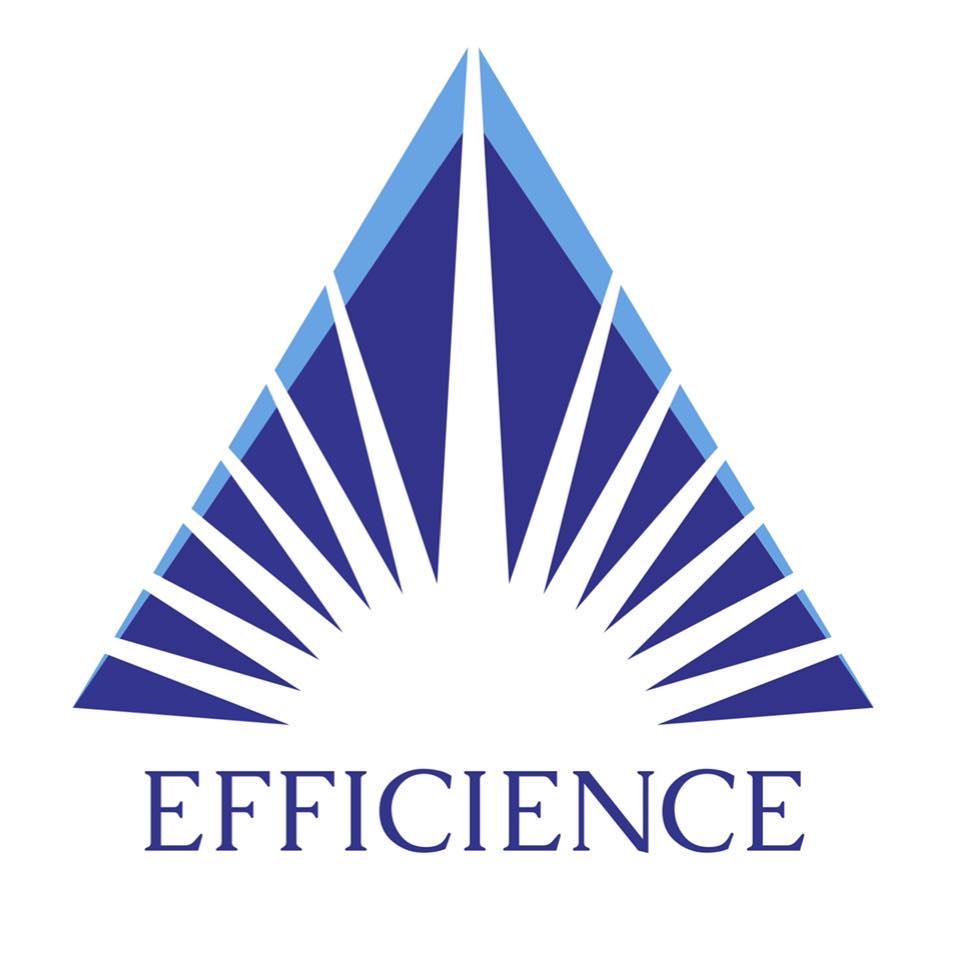 Cas d'usage - Témoignage Efficience, Avis client du logiciel gestion de ...