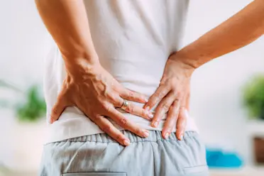 Lower Left Back Pain from Internal Organs