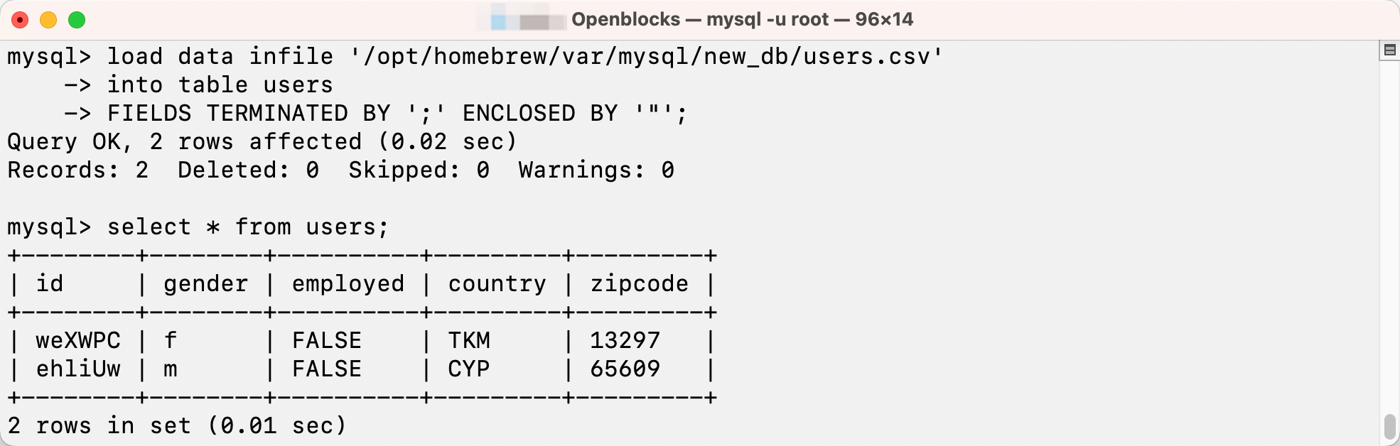How to Import or Export CSV/Excel Files in MySQL? | Openblocks Blogs
