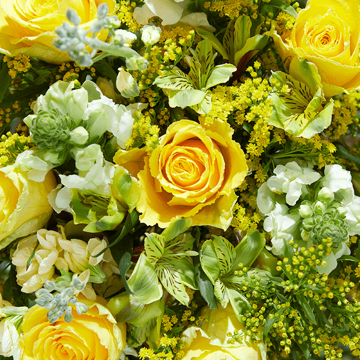 Yellow Roses Meaning Anchor's Away! Anchor Floral & Gift Shop Blog