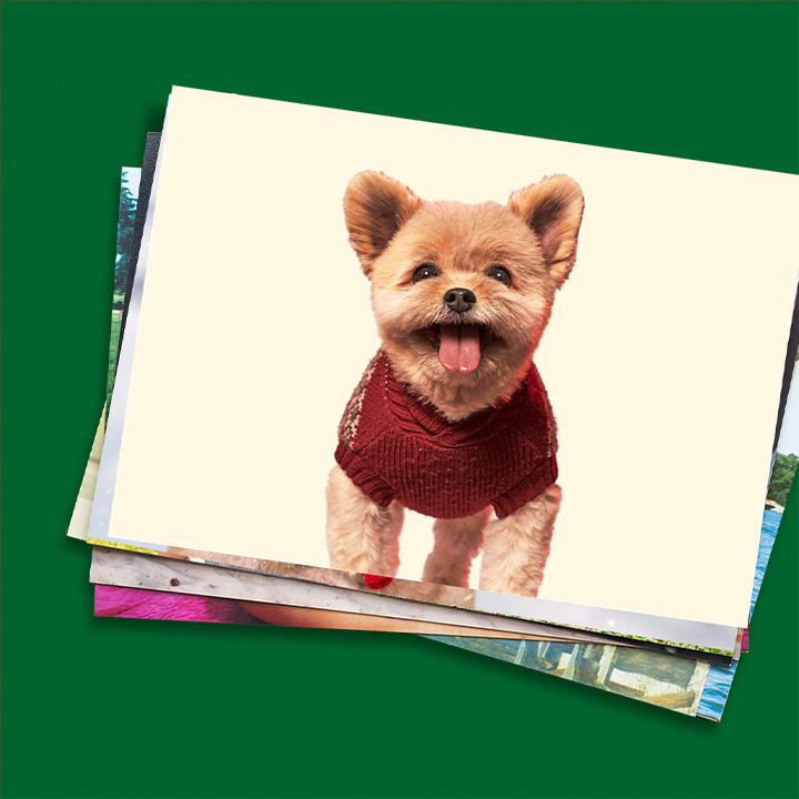 Printing, copying, photo gifts & more – Staples Printing