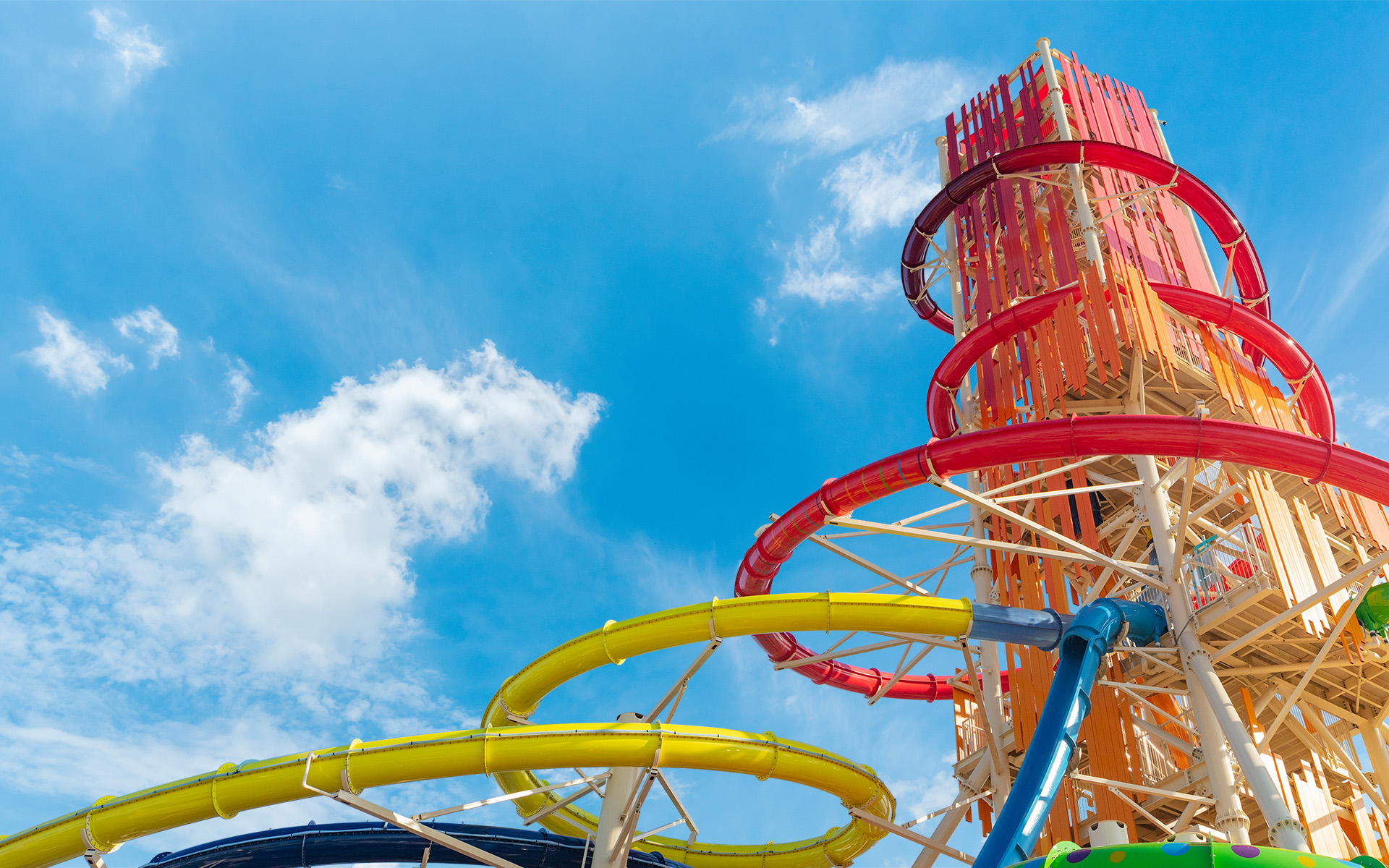 Home | Loyal To You Always