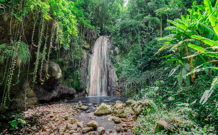 Training | Loyal To You Always