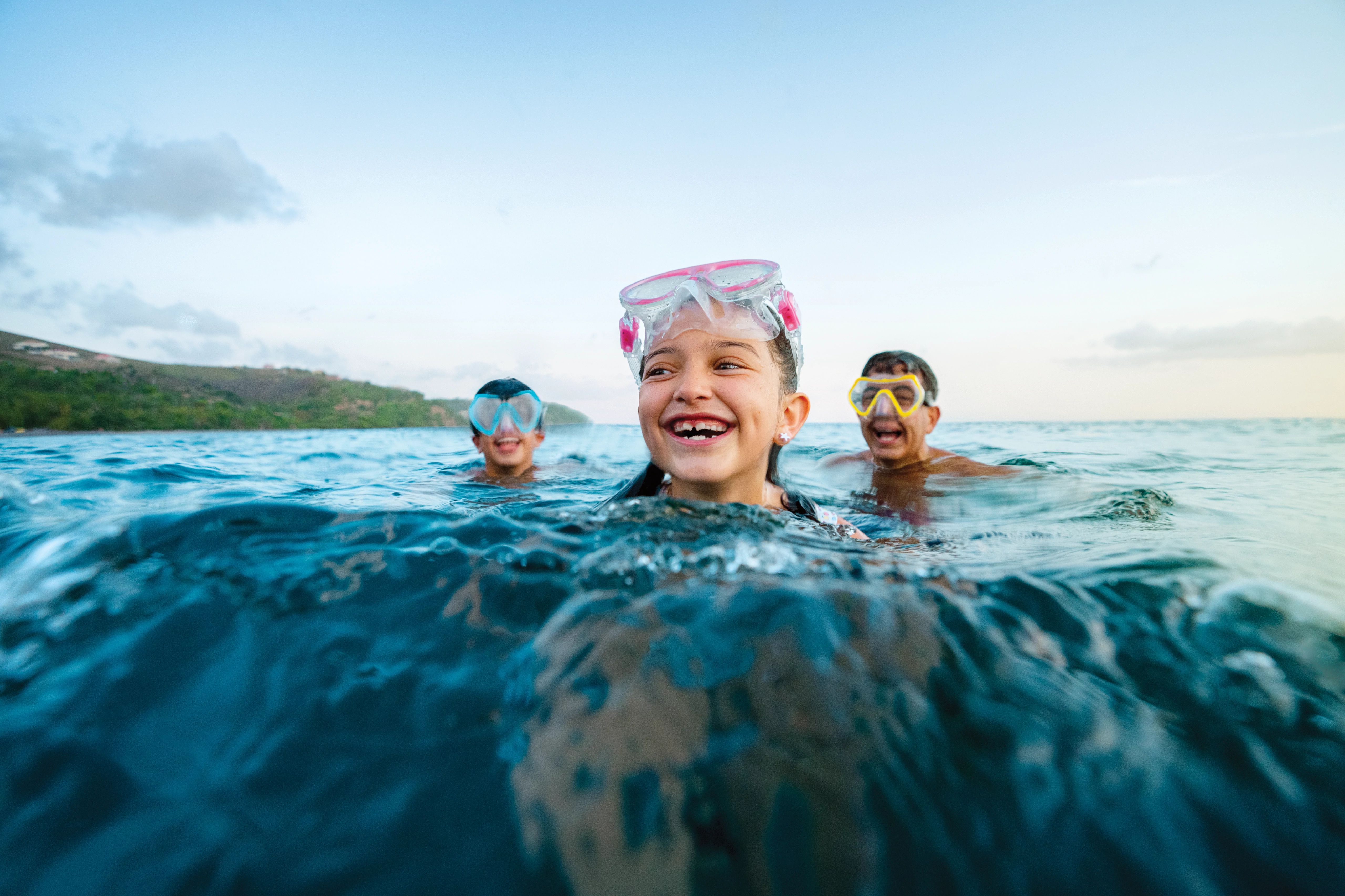 News | Loyal To You Always