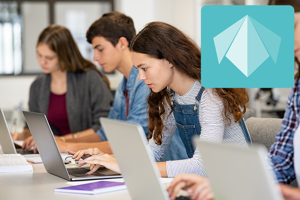 Scoodle Play Plantyn