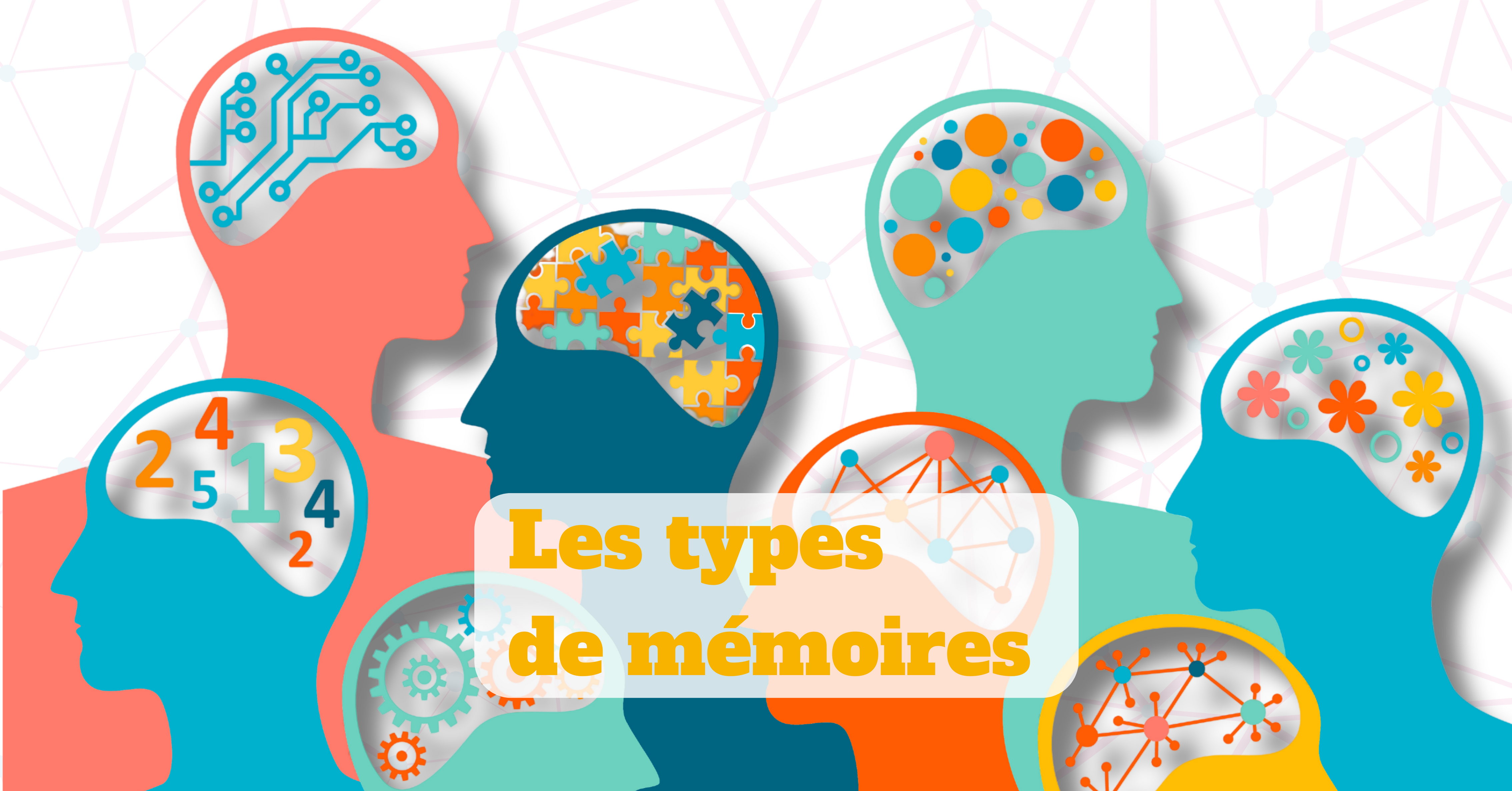 Maximiser l'enseignement par la compréhension des différents types de ...