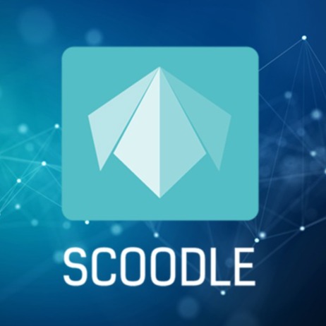 Scoodle Scoodle Needs His Leg Amputated.😢 This Poor 6 Month Old