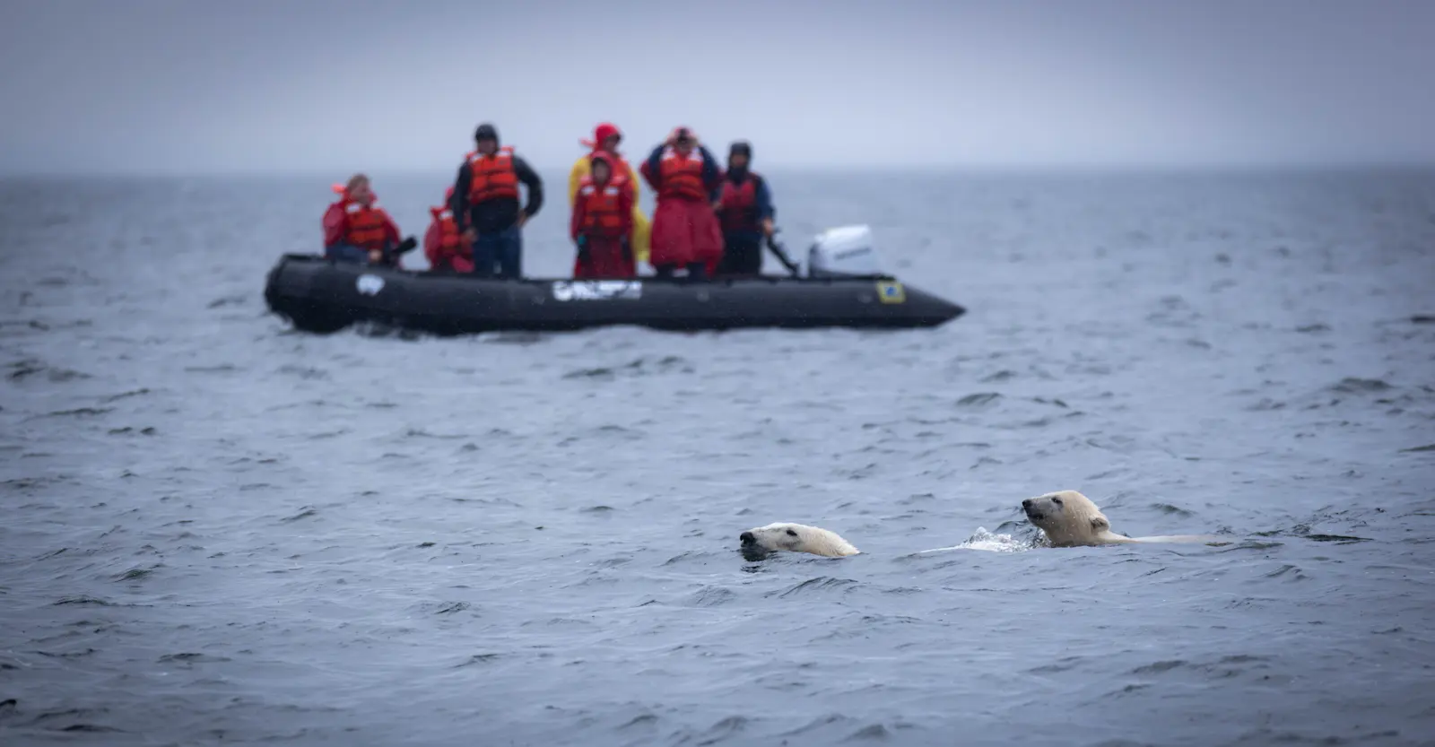 Alaska, Canada & Northern Adventures | Churchill Summer Photo Expedition