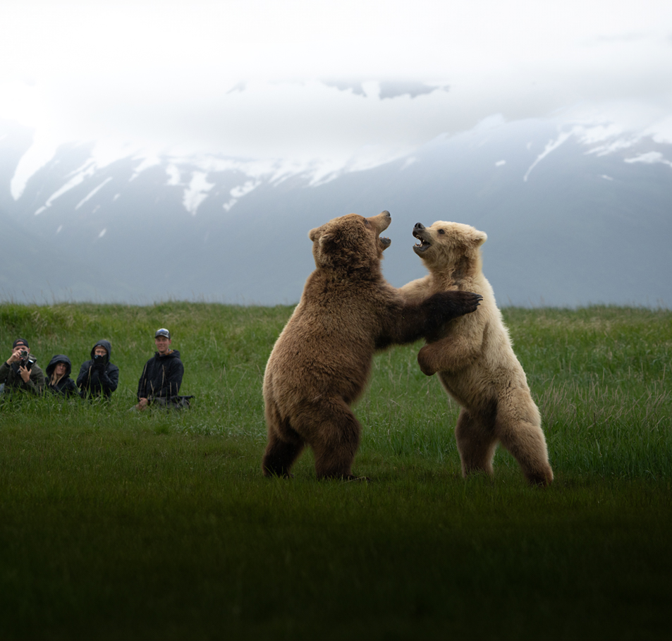 Grizzly Ship Photo Expedition: Kodiak to Katmai | Natural Habitat ...