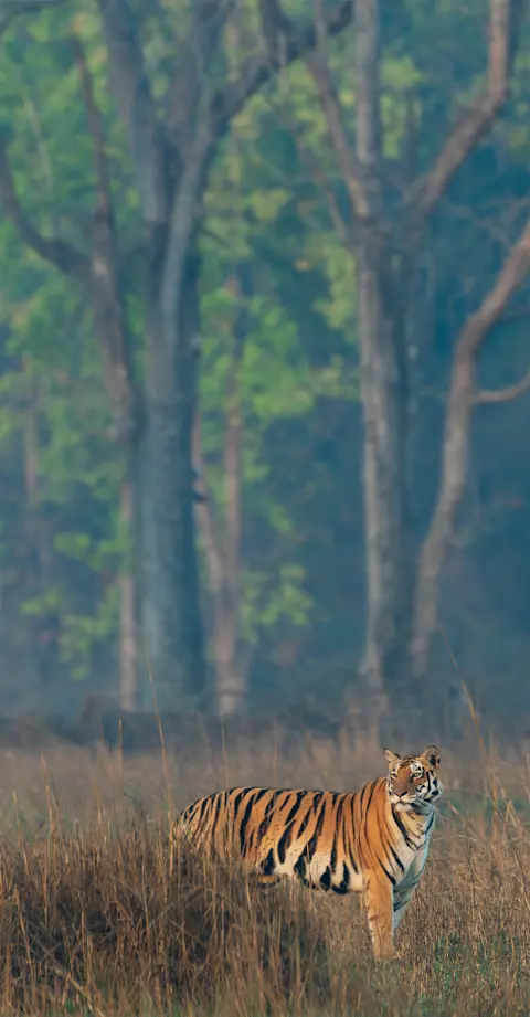 Expedition Leaders | Guides & Staff | Natural Habitat Adventures