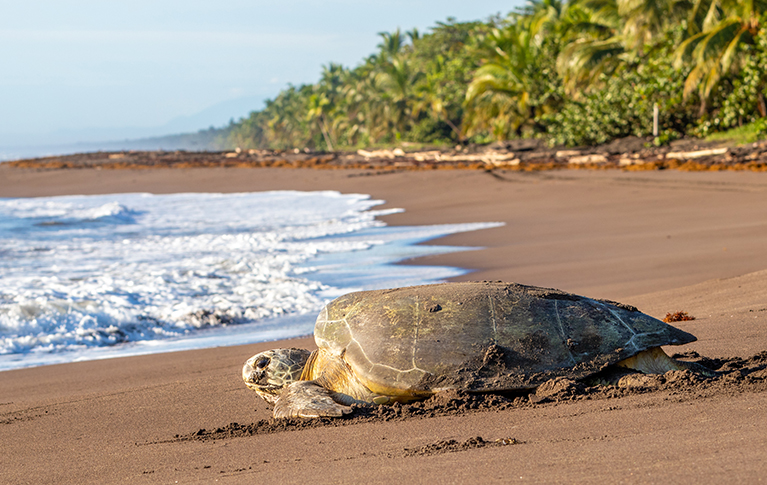 Natural Habitat Adventures | Mexico & Central America Adventures ...