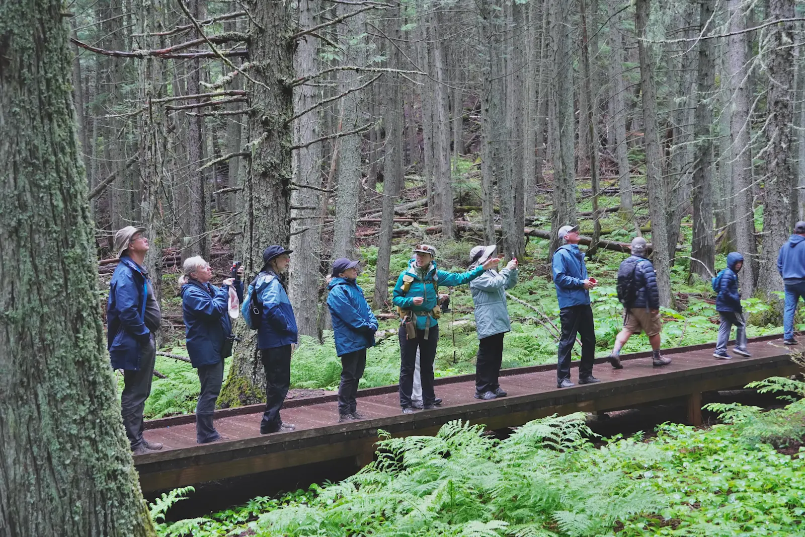 Glacier National Park Tour | Adventure Travel