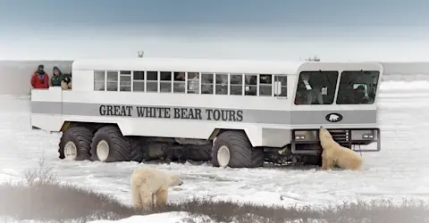 Churchill Polar Bear Tours | Natural Habitat Adventures