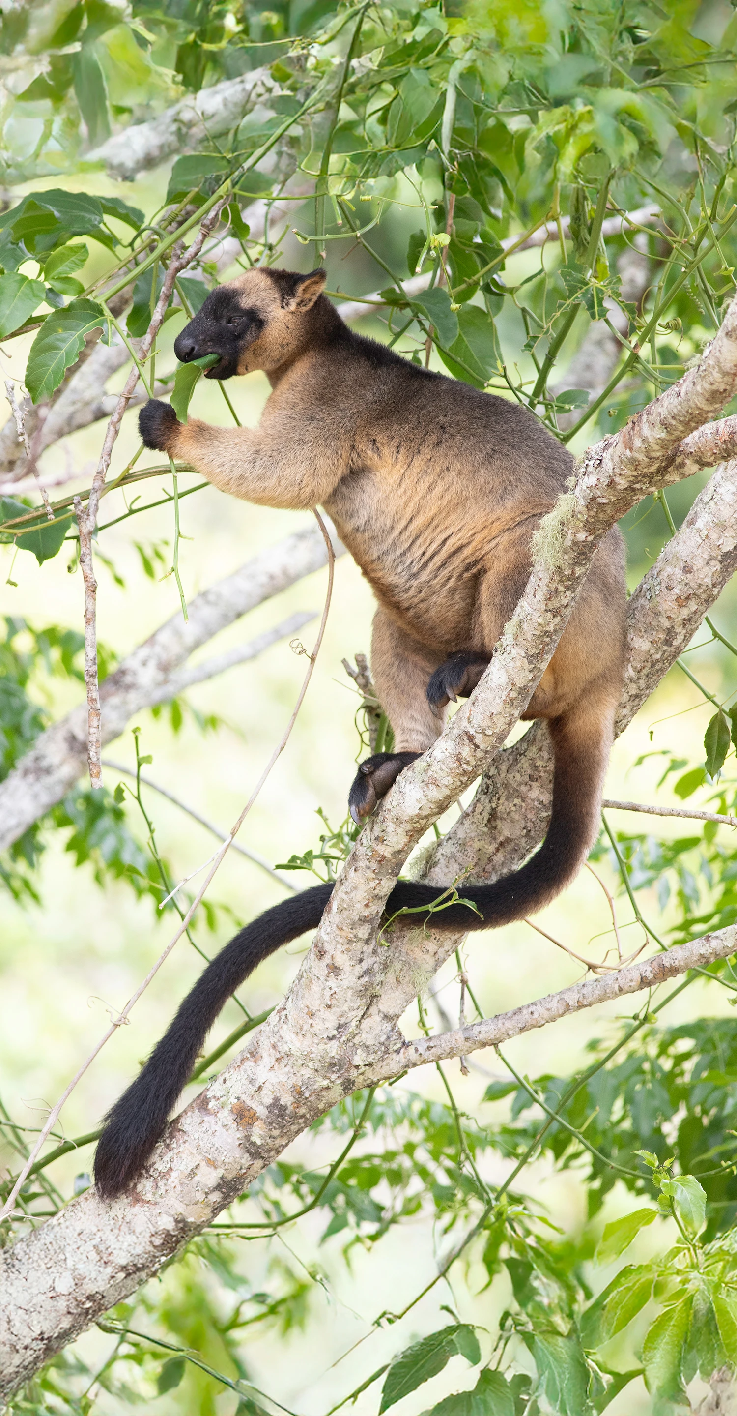 Expedition Leaders | Guides & Staff | Natural Habitat Adventures