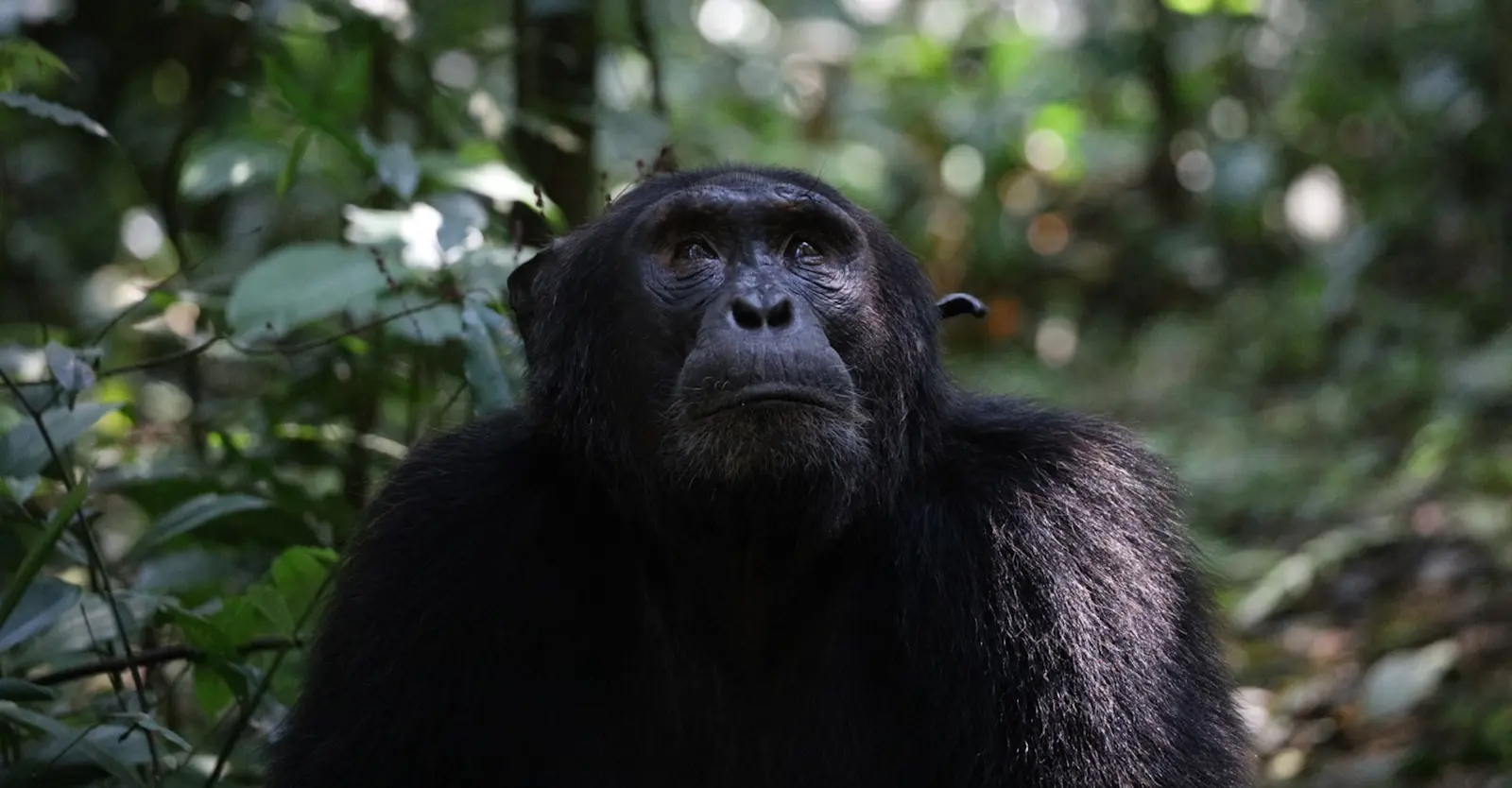 Expedition Leaders | Guides & Staff | Natural Habitat Adventures