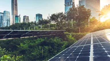 Renewable Natural Gas | Shell Energy