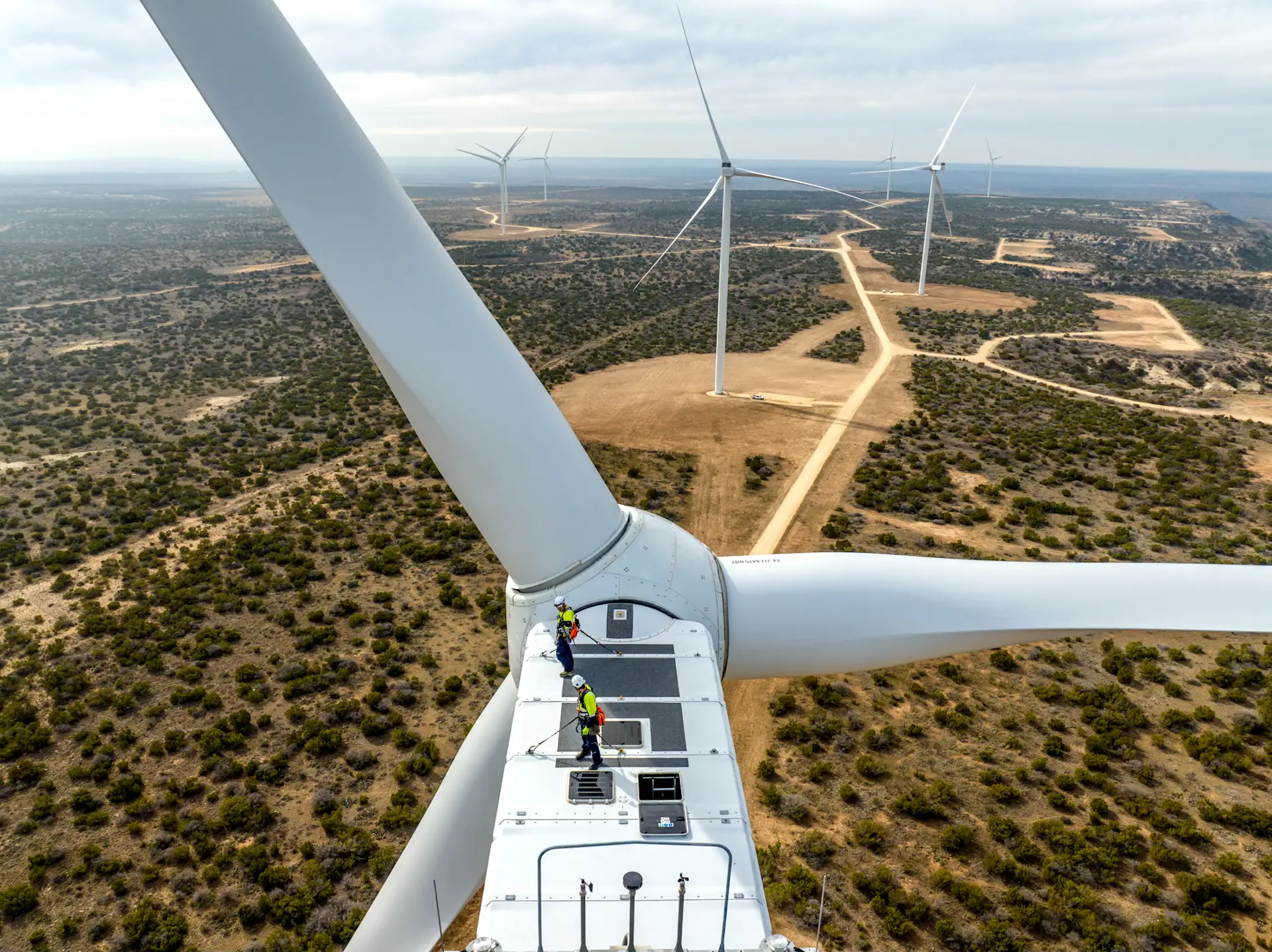Renewable Solutions | Shell Energy