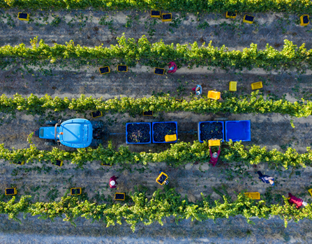 Shell Energy & Treasury Americas Builds on Sustainability Leadership