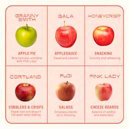 Cravings The Best Types Of Apples For Cooking Baking Salads Snacking