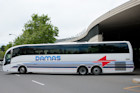 Damas - Find & Book Official Damas Bus Tickets | Busbud