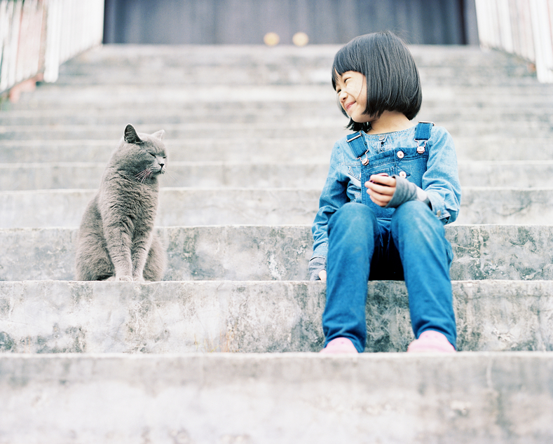 Cat Name Generator | Nameberry