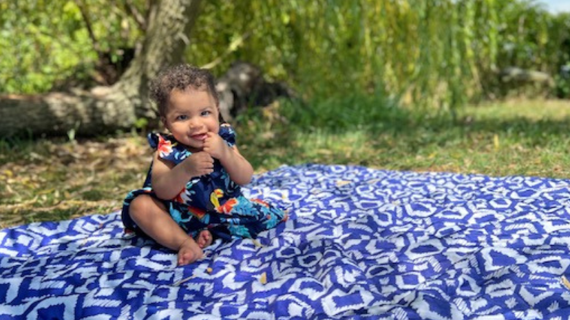 How I Named My Baby: Colibrí Meraki | Nameberry