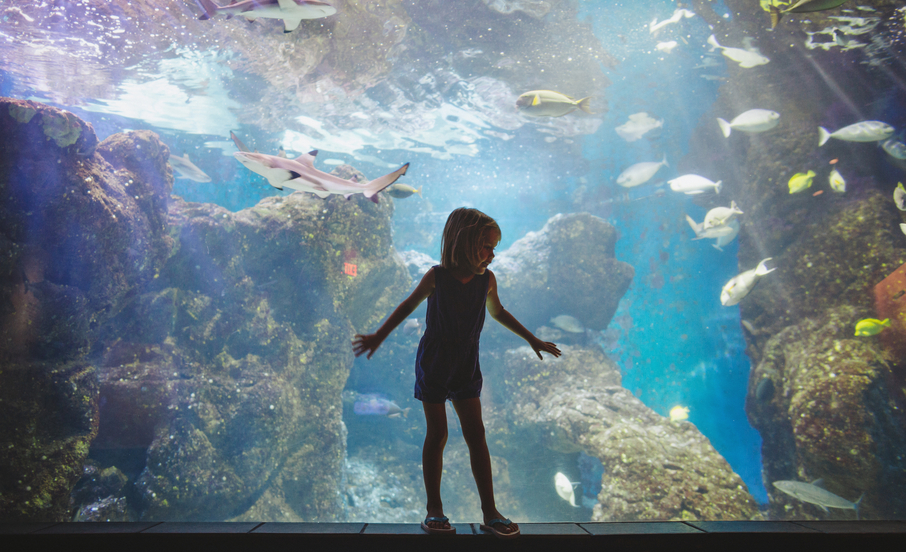 Pisces Baby Names Rise to the Surface | Nameberry