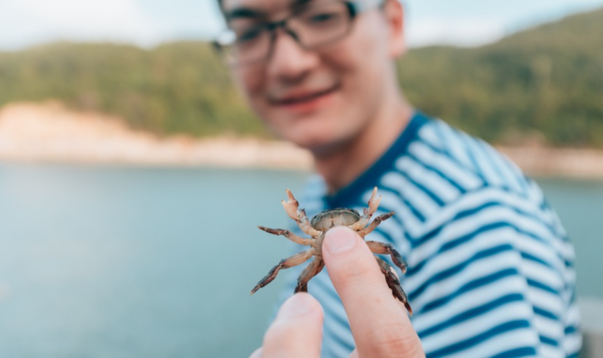 Cancer Zodiac Names | Nameberry