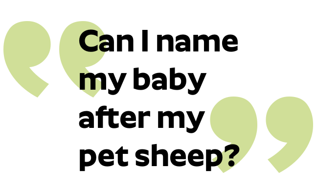 Let Us Name Your Baby | Nameberry