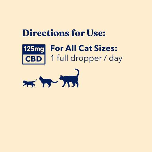 Buy 100% Organic Full Spectrum CBD Oil for Cats | Honest Paws®
