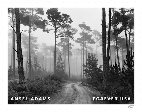 Ansel Adams — Stamp Information