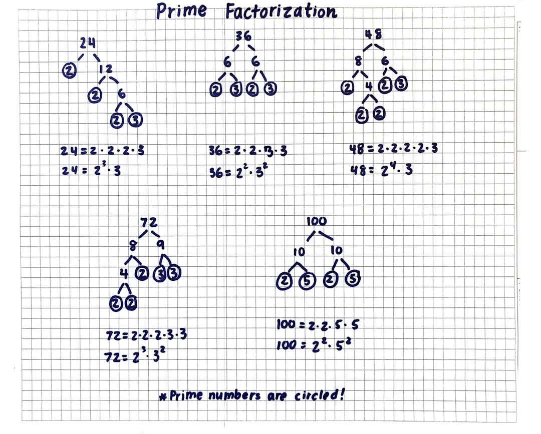 Prime Factorization Lesson Plan | Congruent Math