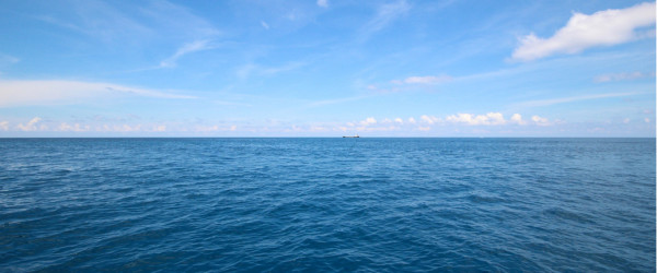 Poseidon Principles in practice | ABN AMRO