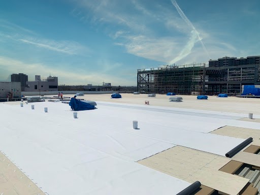 EVERGUARD | BMI India