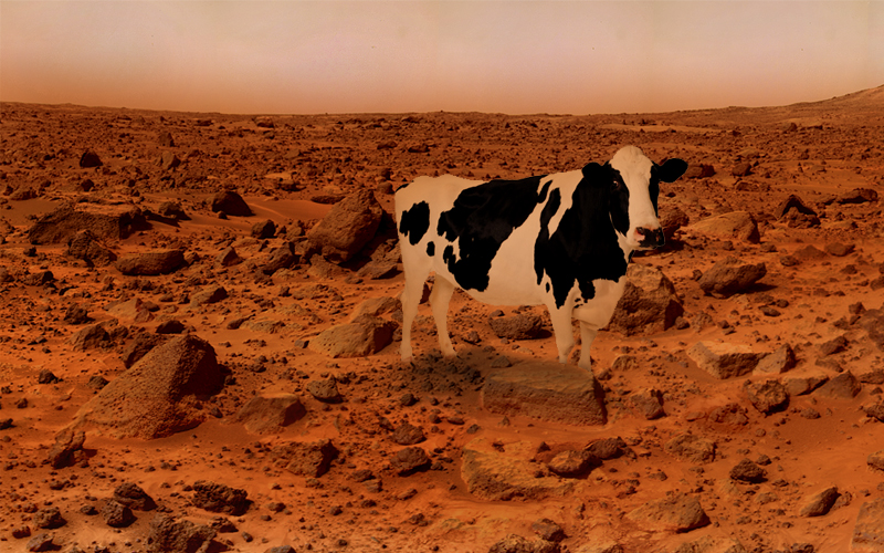 Are there cows on Mars? | The Astroholic