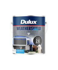 Dulux Weathershield® Super Hide Low Sheen | Dulux