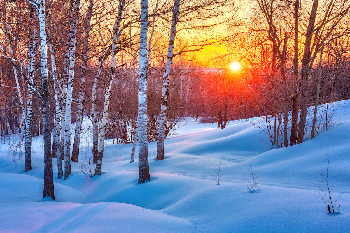 The Facts and Myths of Winter Solstice | The No-bull Blog from Energy Texas