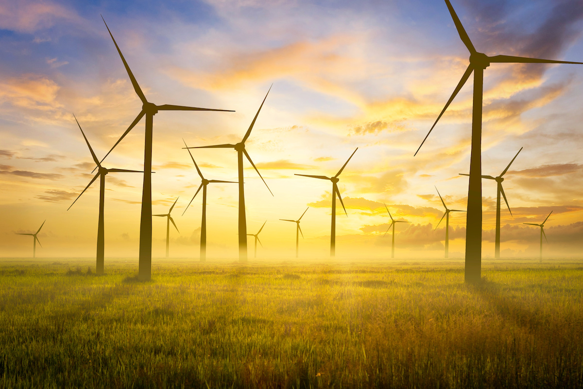 Riding the Texas Wind: How Wind Farms Are Powering the Lone Star State ...