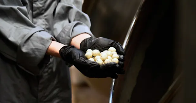 LAKRIDS BY BÜLOW Factory Experience - Øresundsbron