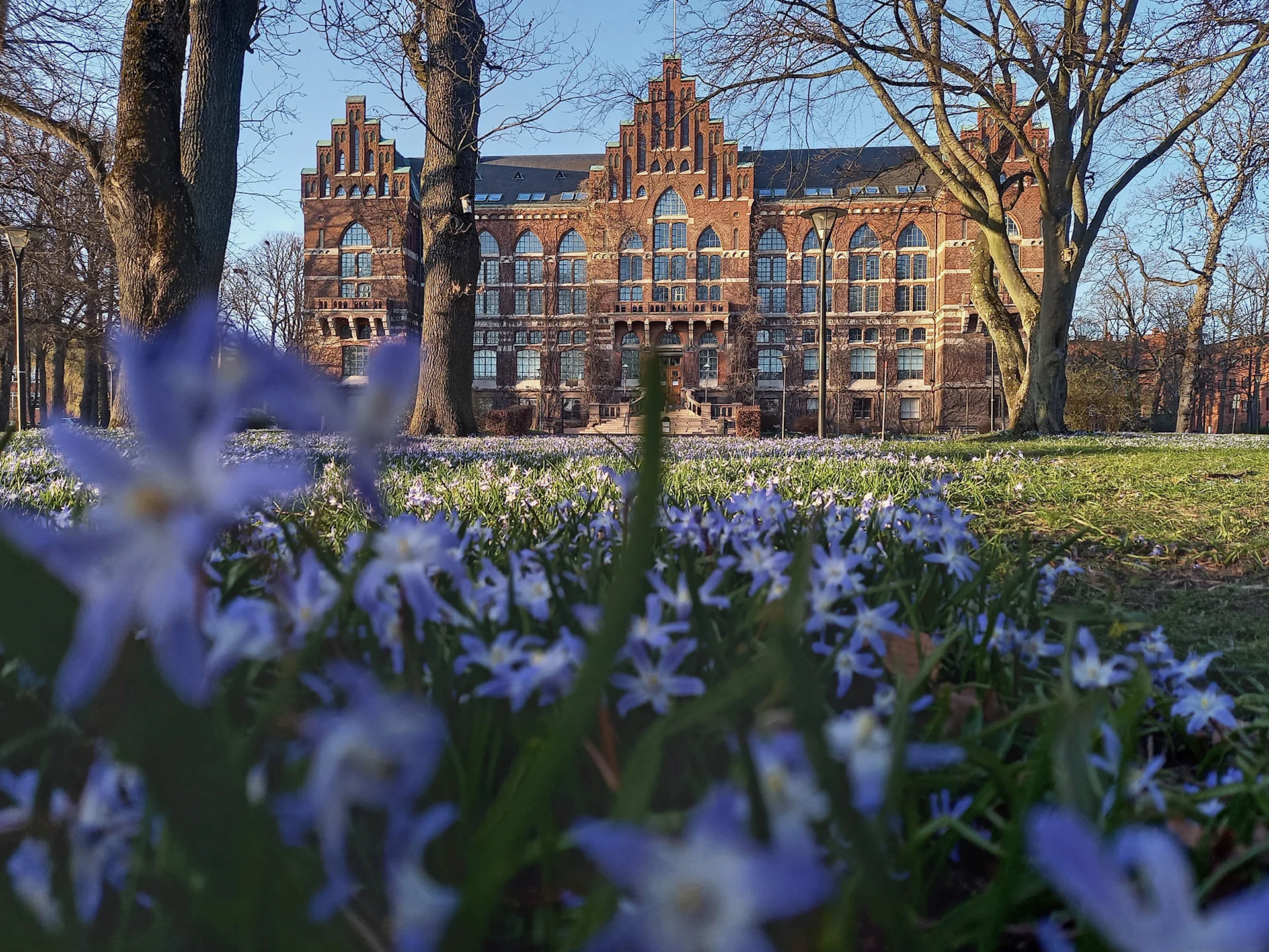 Lund – en by med fantastisk historie - Øresundsbron
