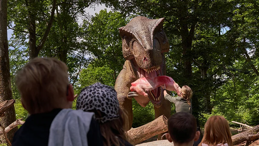 Skånes Djurpark – en dejlig familieudflugt - Øresundsbron