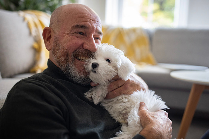 Senior Companions: Exploring the Ideal Pets for Elderly Individuals ...