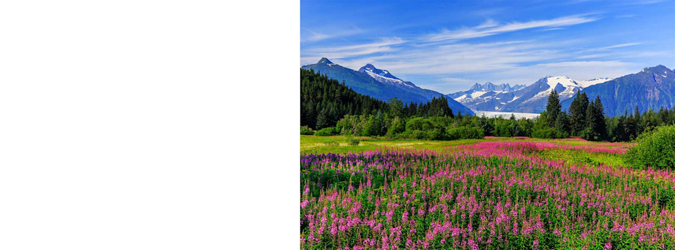 Alaska Medicare: Medicare Advantage Plans in Alaska (AK)