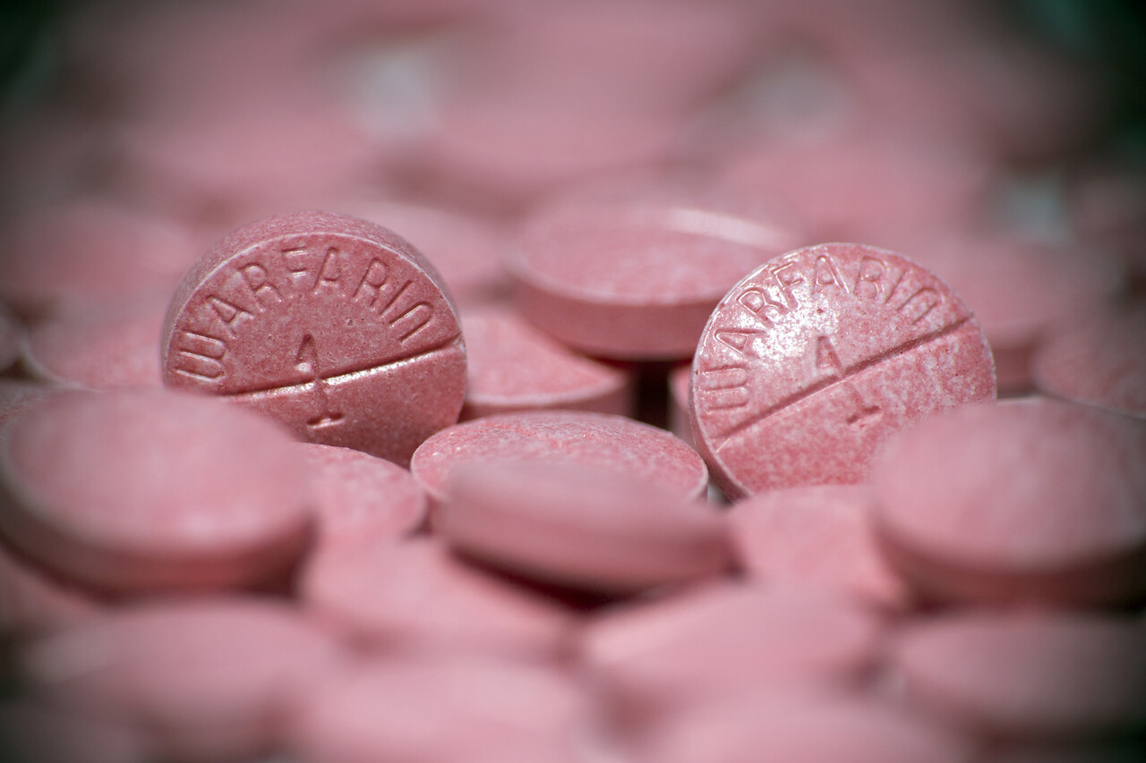 Anticoagulants Fail to Prevent Cognitive Decline, Stroke in AF